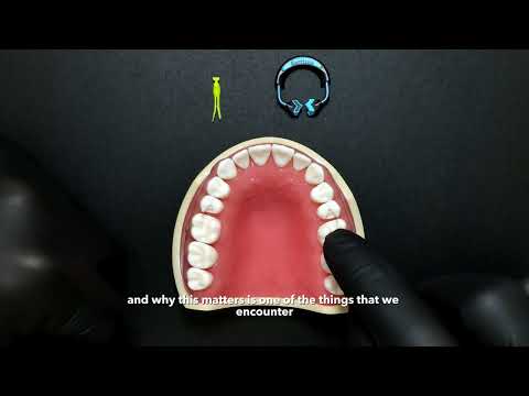 Quad Sectional Matrix System Intro Kit (QR-KHF-10)