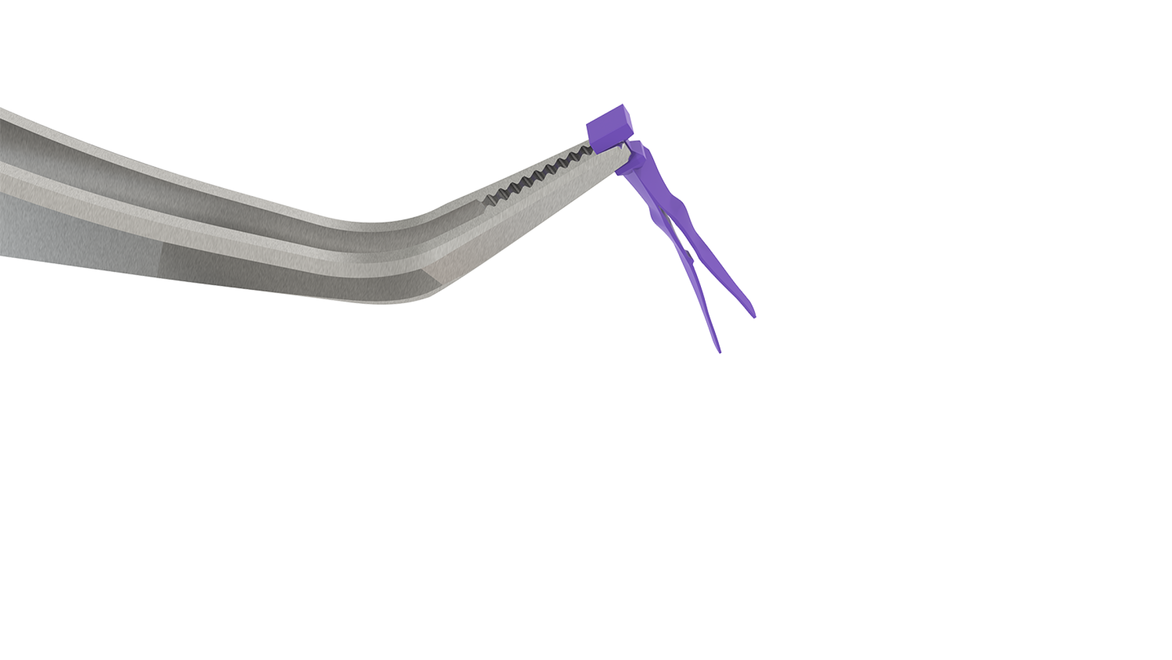 Band and Wedge Forceps (BWI)